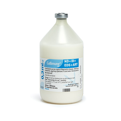 동물약품 제품 | Boehringer Ingelheim KR