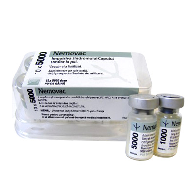 동물약품 제품 | Boehringer Ingelheim