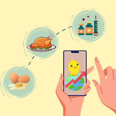 Spotlight On Poultry Chicken Trends | Boehringer Ingelheim IN